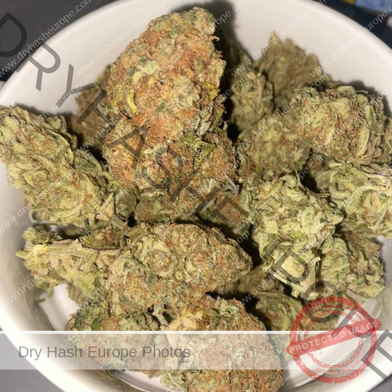 Orange Bud | DryHashEurope | Buy Online